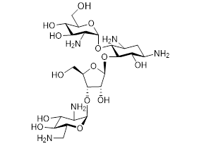 Glycocure Biotech Private Limited